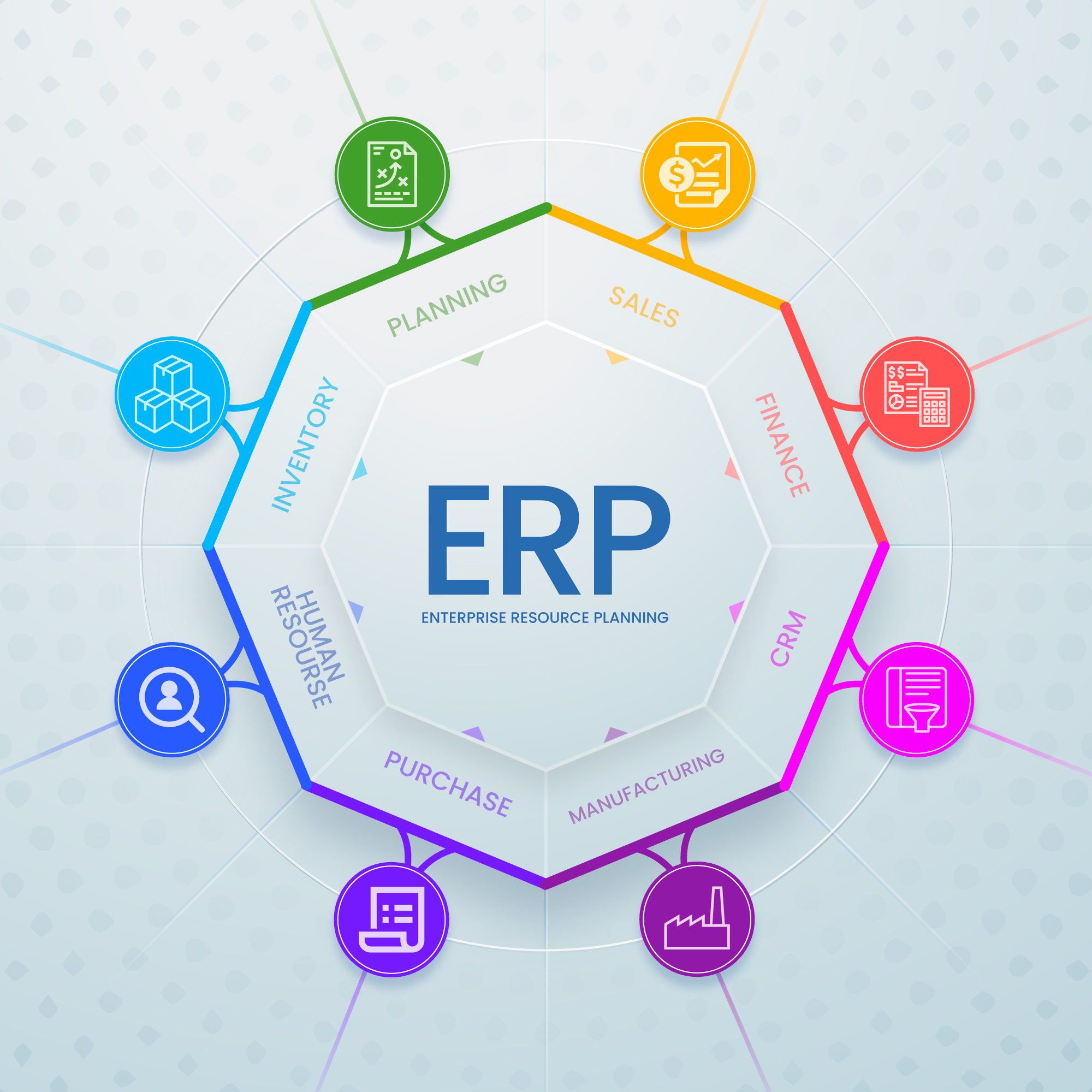 Building an Accessible ERP Environment